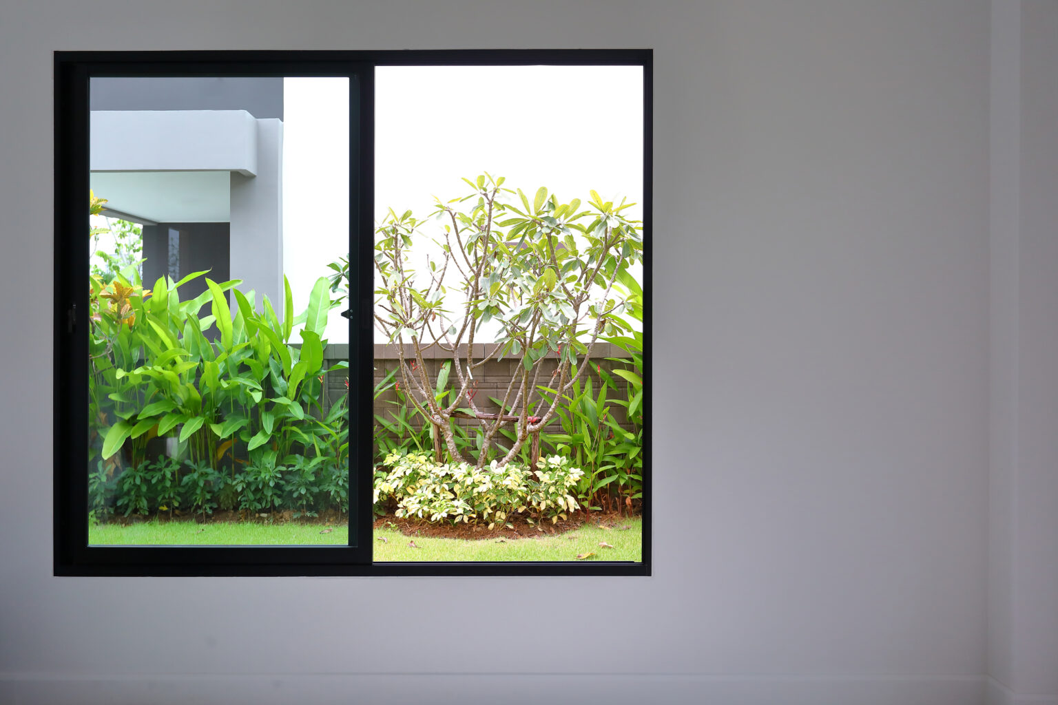 Different Types of Windows Guide & Retrofitting Options