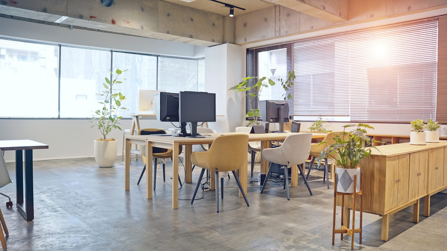 Level Up Your Business With Commercial Building Windows